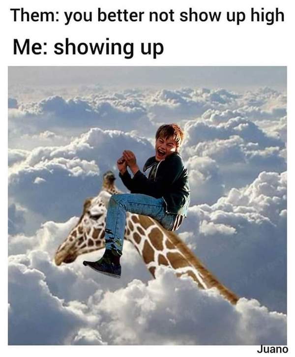 Weed Memes will have you higher than bird b*lls