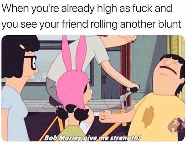Weed Memes will have you higher than bird b*lls