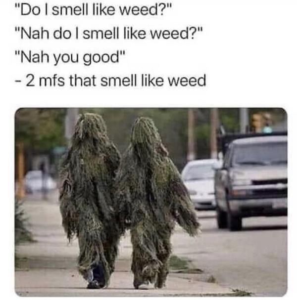Weed Memes will have you higher than bird b*lls