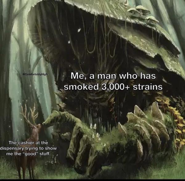 Weed Memes will have you higher than bird b*lls