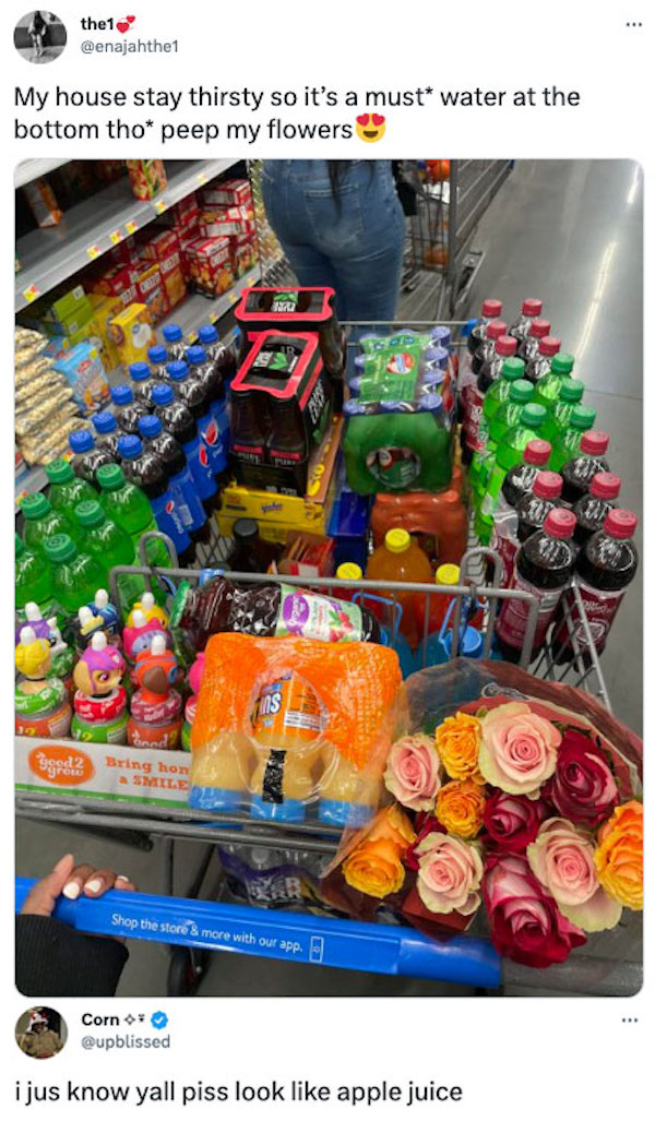 Well that's just the funniest freakin' thing I've seen all week