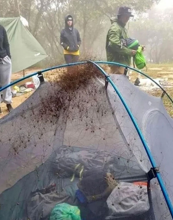 Creepy images that are beyond unsettling