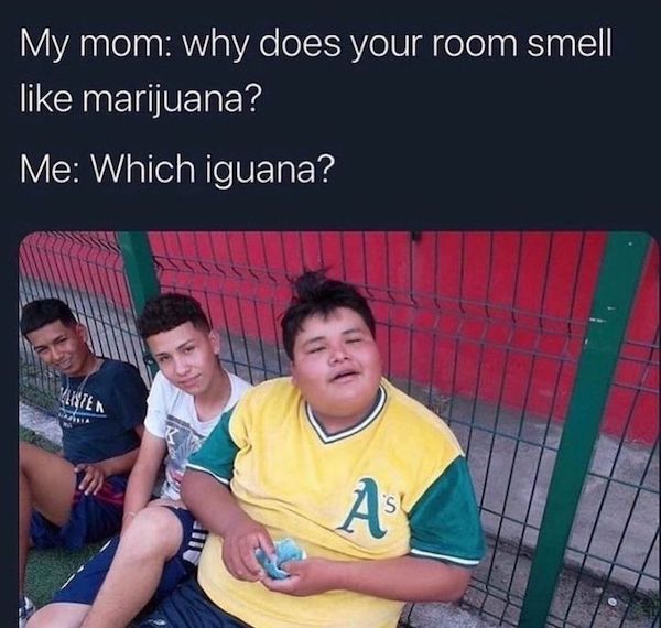 These memes are FOR THE BOYS