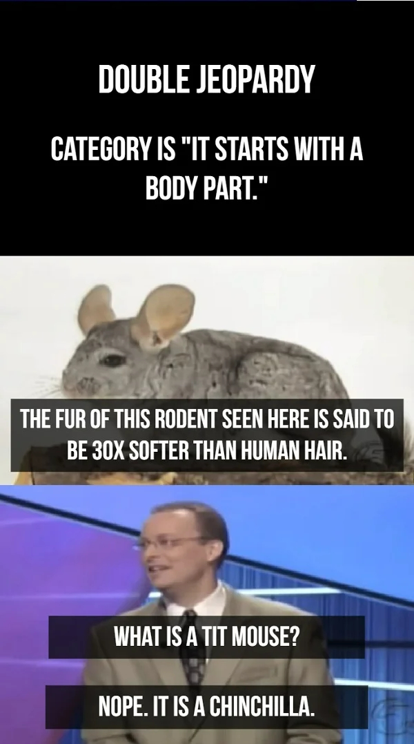 Jeopardy Answers So Bad, They’re Good