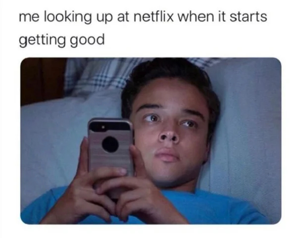 Are You Still Watching These Netflix Memes? (35 Photos)