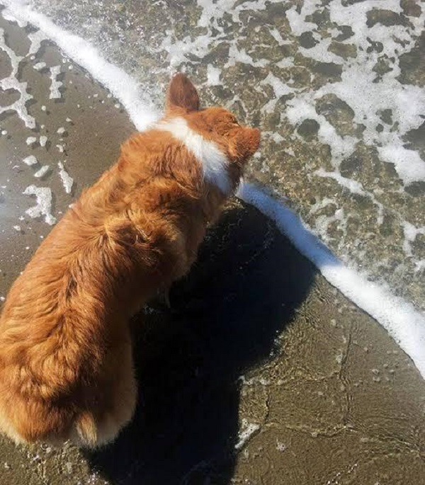 Satisfy Your Eyes With These Perfect Pictures