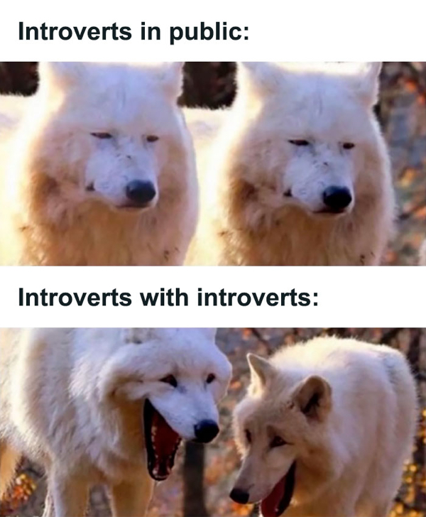 Introvert memes to laugh at while you screen your calls