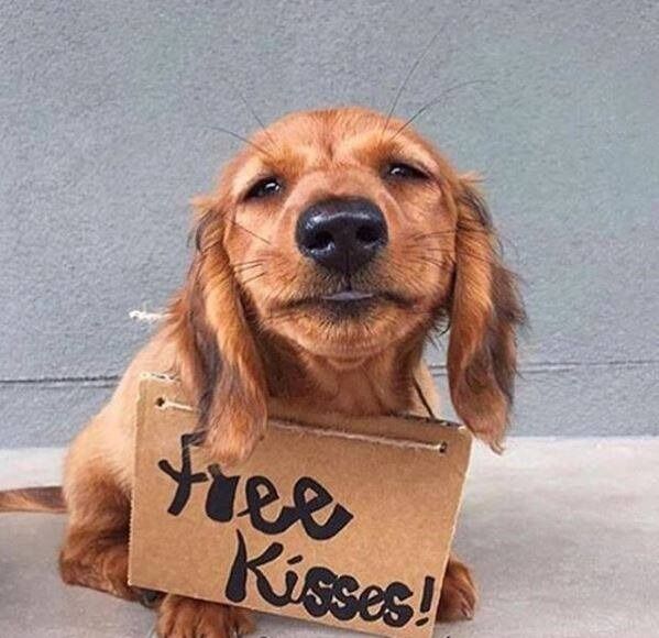 Good Boys? No... The Best Boys