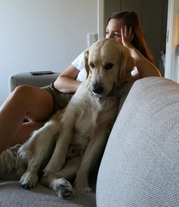 These pets aren't jealous for attention, YOU'RE JEALOUS