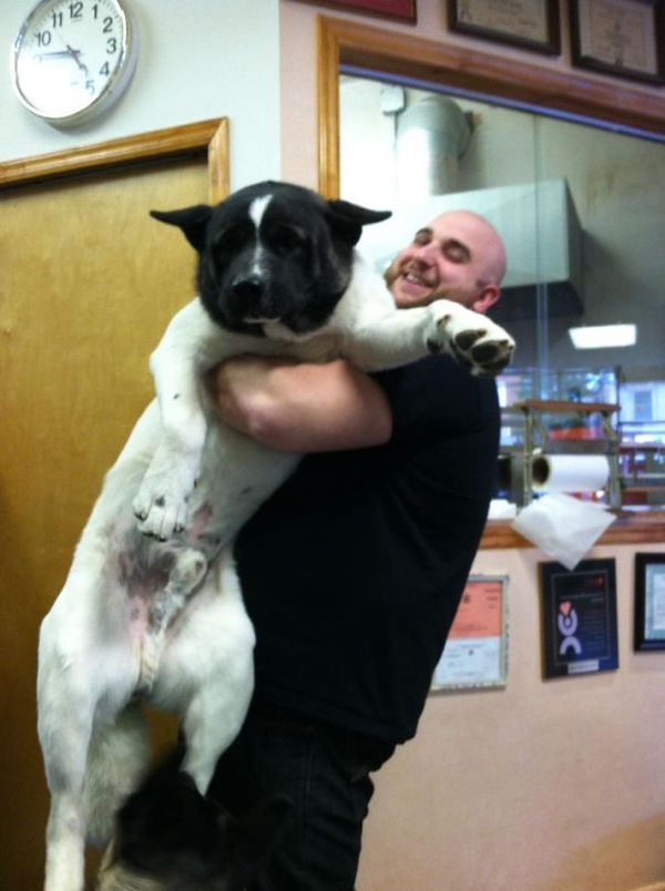 The bigger the dogs, the more love to go around