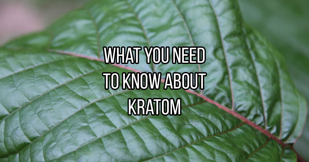 What You Need To Know About Kratom Extracts
