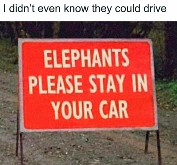 Low-res jokes with high-definition laughs