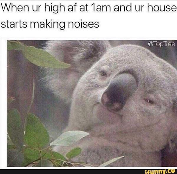 Prepare for 420 tomorrow with these funny and surreal memes.