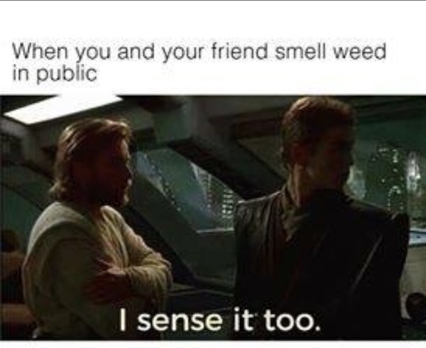 Prepare for 420 tomorrow with these funny and surreal memes.