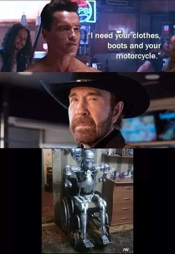 Terminator Movie Memes and Funny T2 GIFs Best Action Flick List