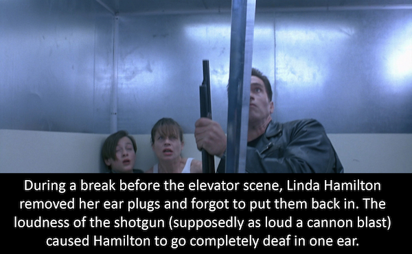 Terminator Movie Memes and Funny T2 GIFs Best Action Flick List