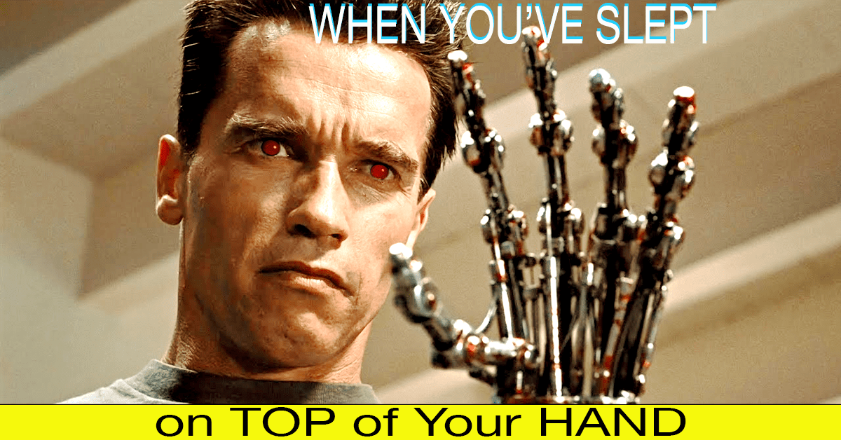 Terminator Memes