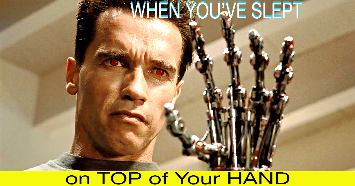 Terminator Memes
