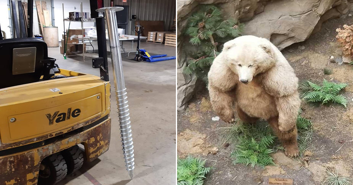 Daily Humor and Funny Stuff - Videos & Jokes - theCHIVE