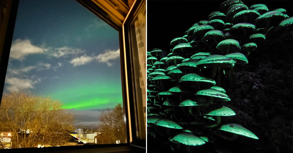 Mother nature is flexing its creative muscles once again