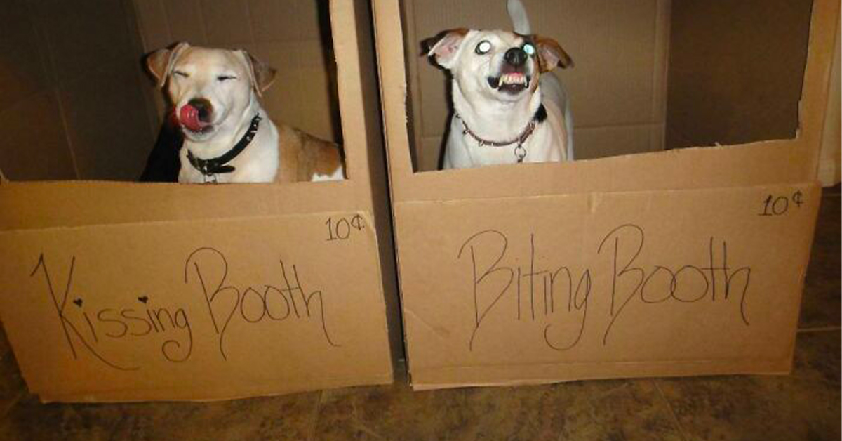 How do we put this, these images are "Blursed"