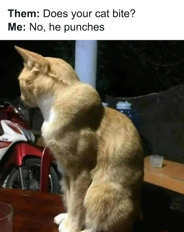 Memes for uncomfortable situations and uncomfortable people