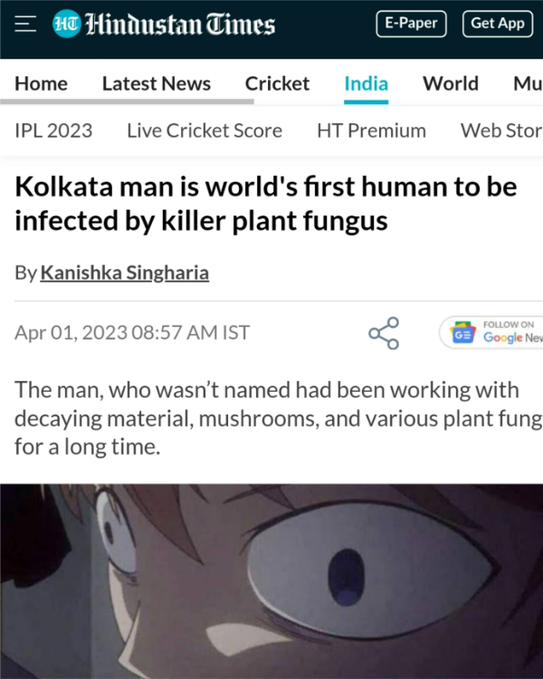 Dank Memes for a Dank Laugh