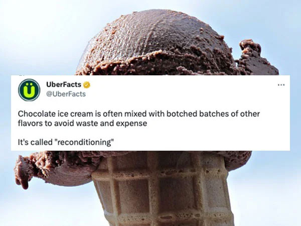 The most popular CHIVE posts of the week (16 Photos)