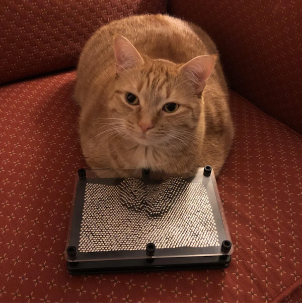 The most popular CHIVE posts of the week (16 Photos)