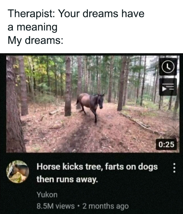 Low-res jokes with high-definition laughs