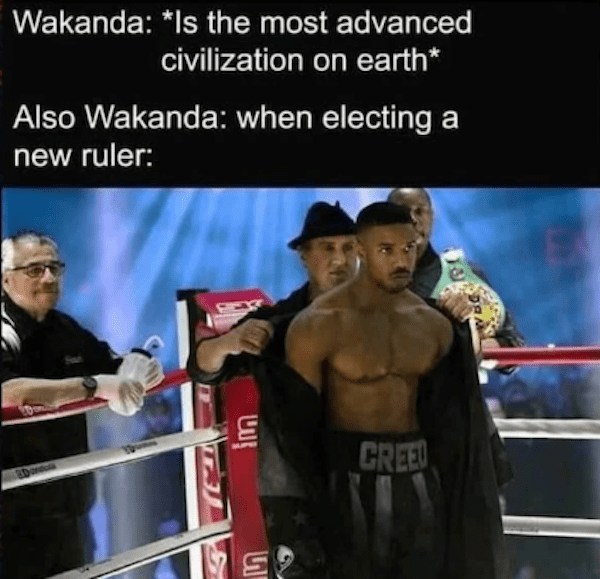 Lights, Camera, Action, Memes!!! (30 Photos)