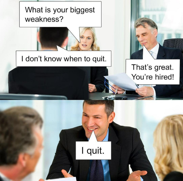 A Fresh Batch of Dank Memes
