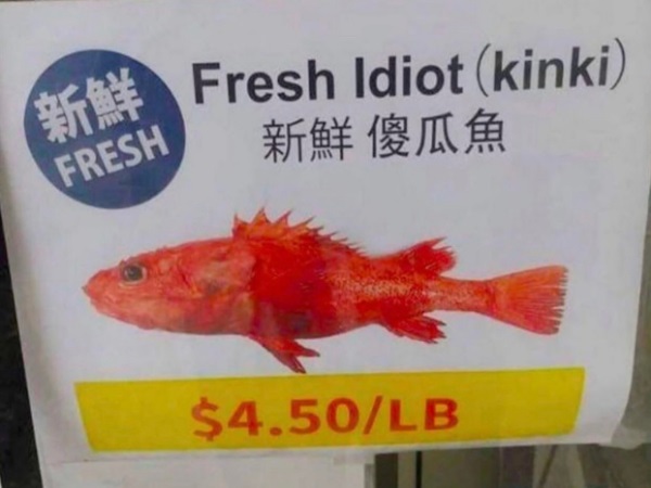 Translation Fails: Never Not Funny
