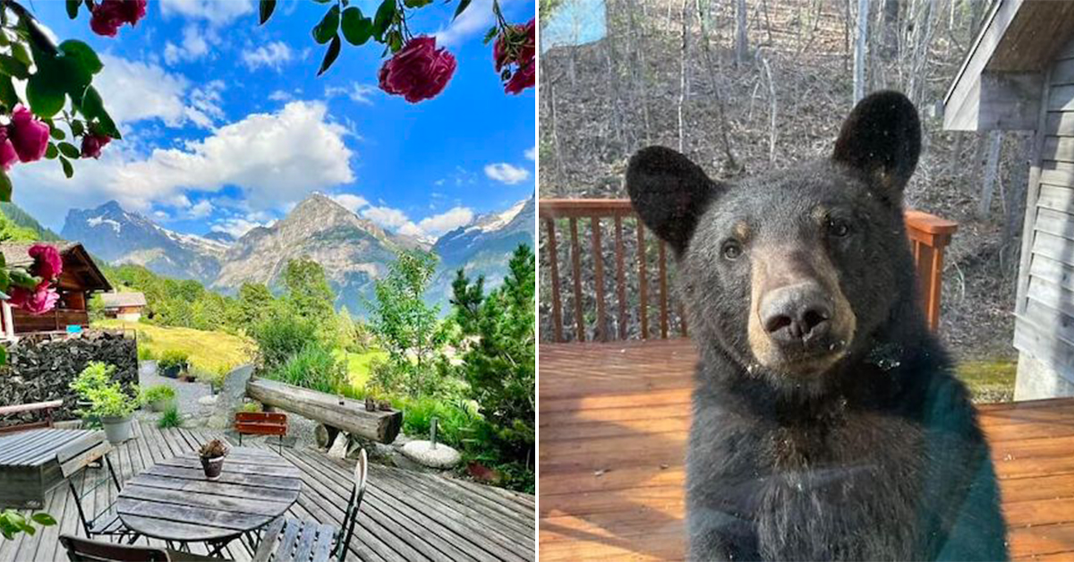 People from around the world share their picturesque window views