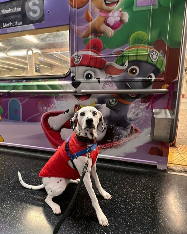 Subway deja vus are just underground glitches in the matrix