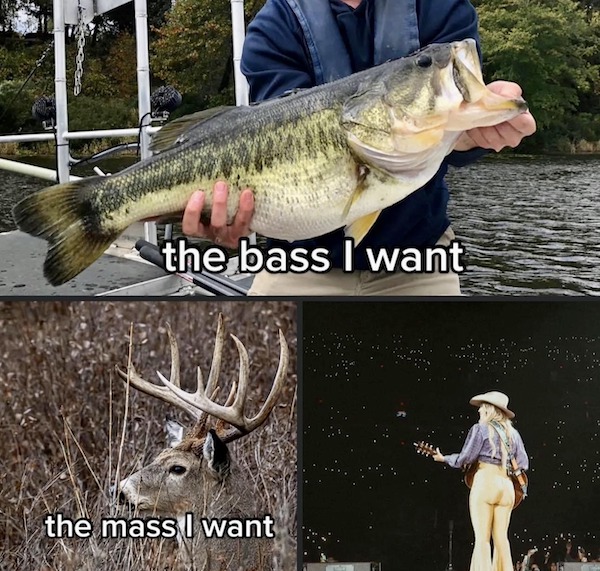 Funny Bass Fishing Memes