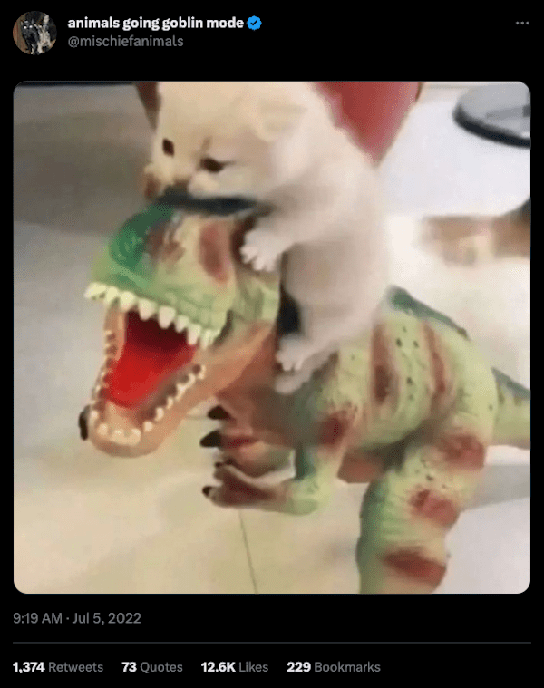 Get ready: These animals are in goblin mode