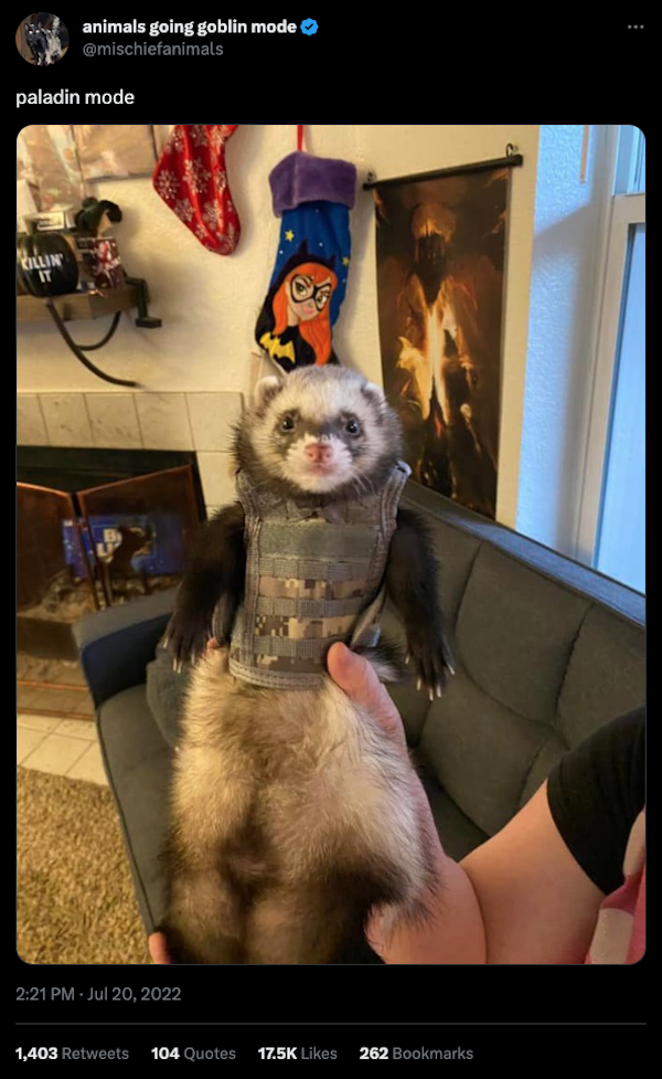 Get ready: These animals are in goblin mode