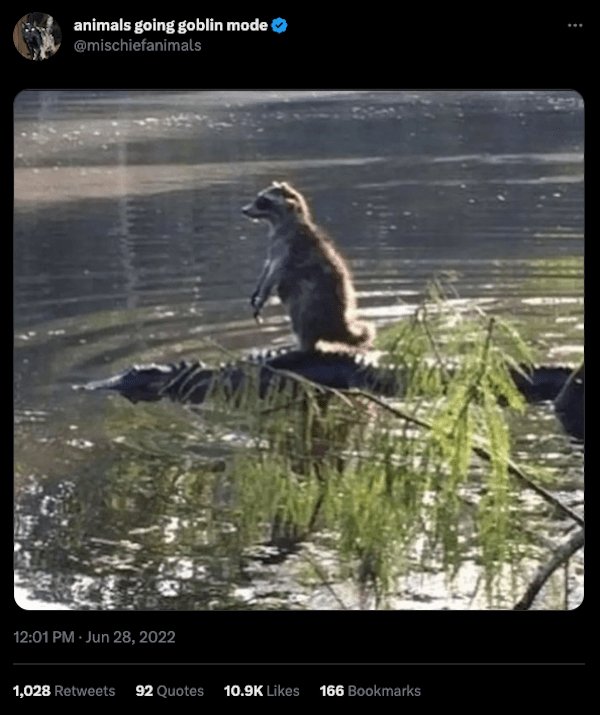 Get ready: These animals are in goblin mode