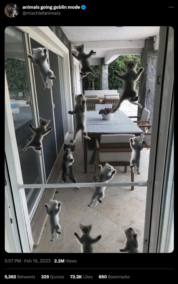 Get ready: These animals are in goblin mode