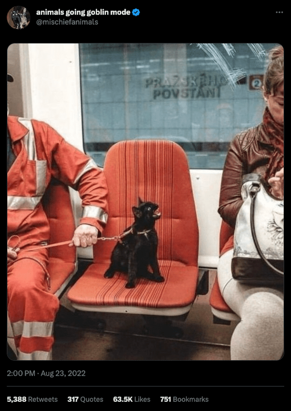 Get ready: These animals are in goblin mode