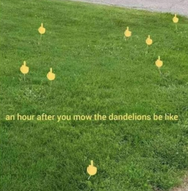 Cheesy Memes Funny Monday Morning Photo Captions Best New 2023 Picture