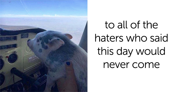 Cheesy Memes Funny Monday Morning Photo Captions Best New 2023 Picture