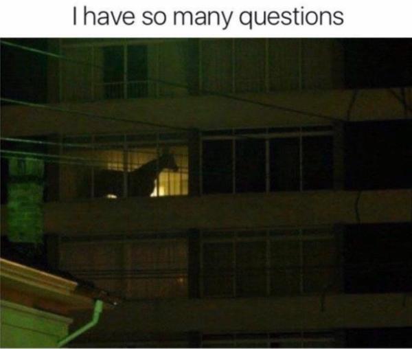 Cheesy Memes Funny Monday Morning Best New Work Sucks Photo Captions