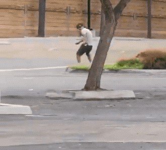 GIFS of Fitness Dog Love Girls Bring Best Friend to WORK-OUT DAY 2023