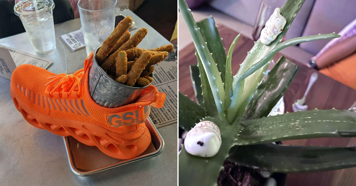 Nope Gifs | Nope Memes | Nope Pictures - theCHIVE