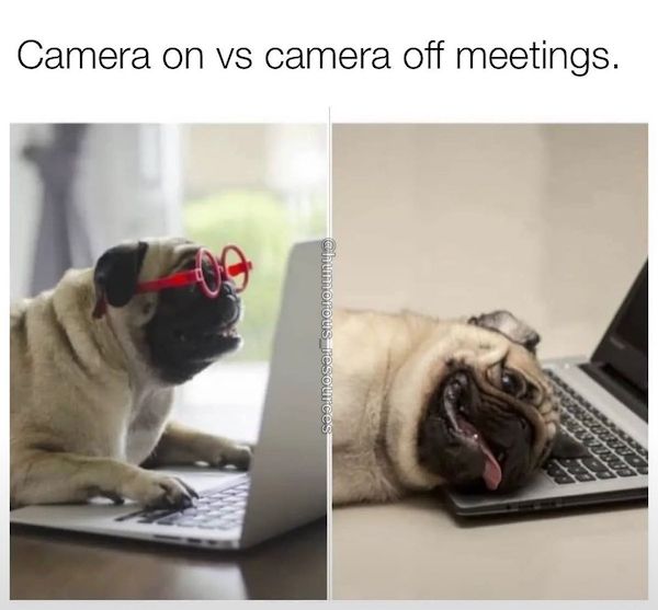 Maybe these working memes can drive off the dread of your job tomorrow