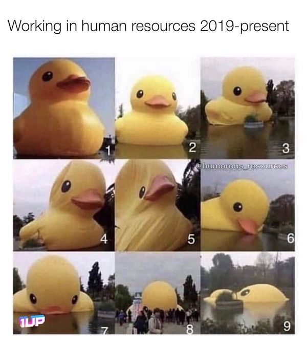 Maybe these working memes can drive off the dread of your job tomorrow