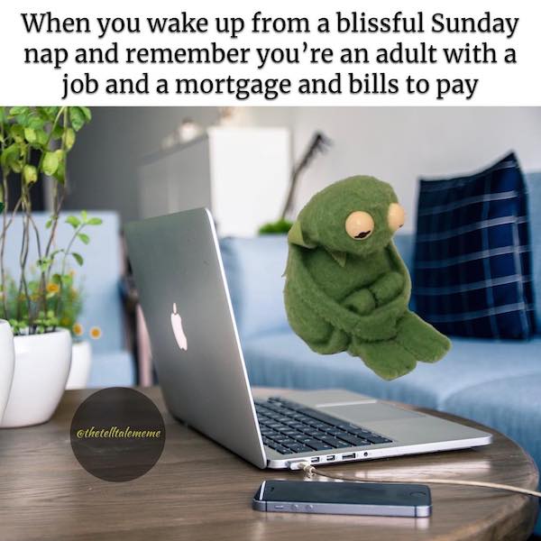 Maybe these working memes can drive off the dread of your job tomorrow