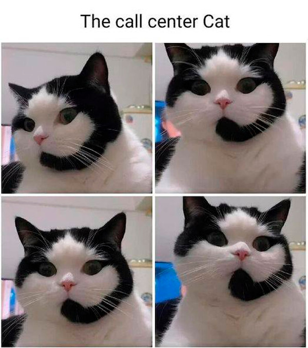 Memes for the computer-savvy people in your life